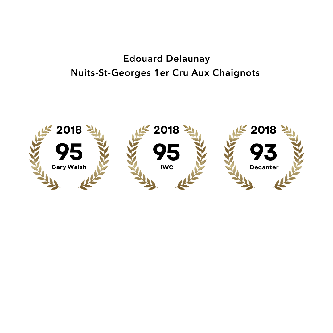 Nuits-St-Georges Premier Cru Aux Chaignots Ed Delaunay | Terry Selection