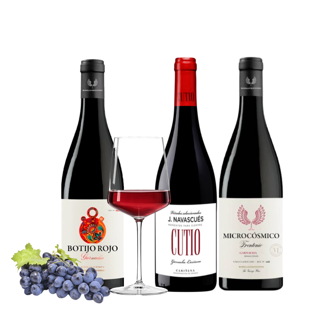 New Perspective | Terry Selection