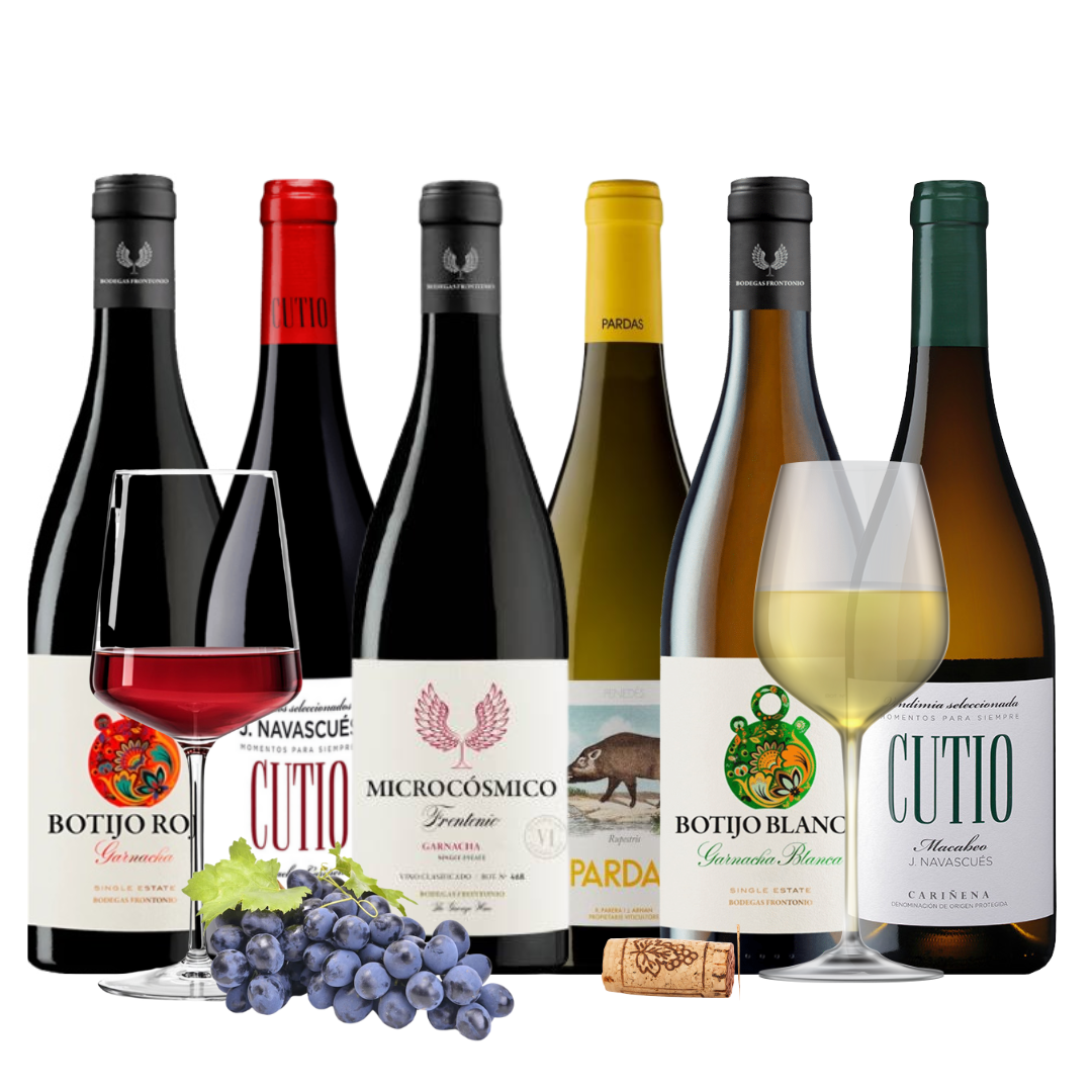 New Perspective | Terry Selection